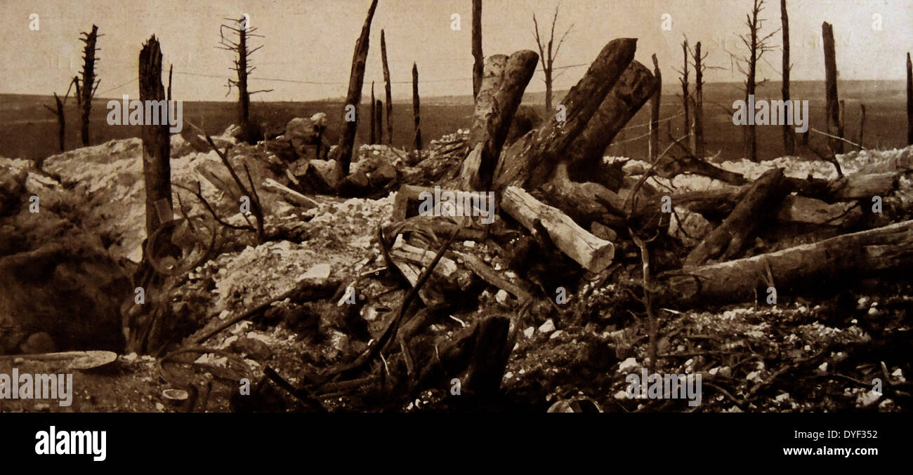 destruction of a forest in eastern France, France, during world war one ...
