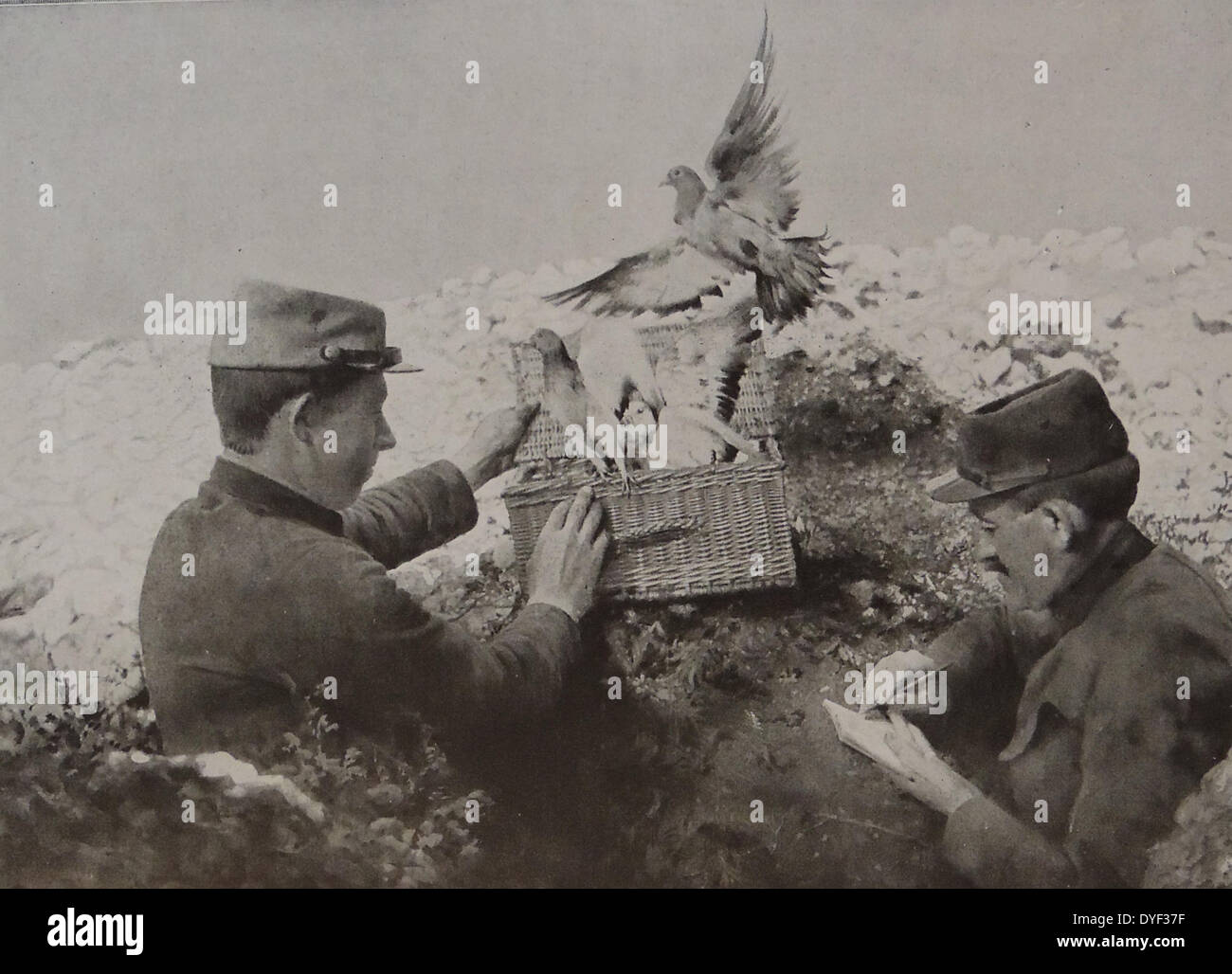 French soldiers attach messages to carrier pigeons as they provide ...