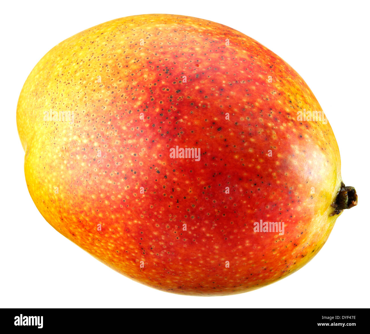 Eat fresh mangoes hi-res stock photography and images - Alamy