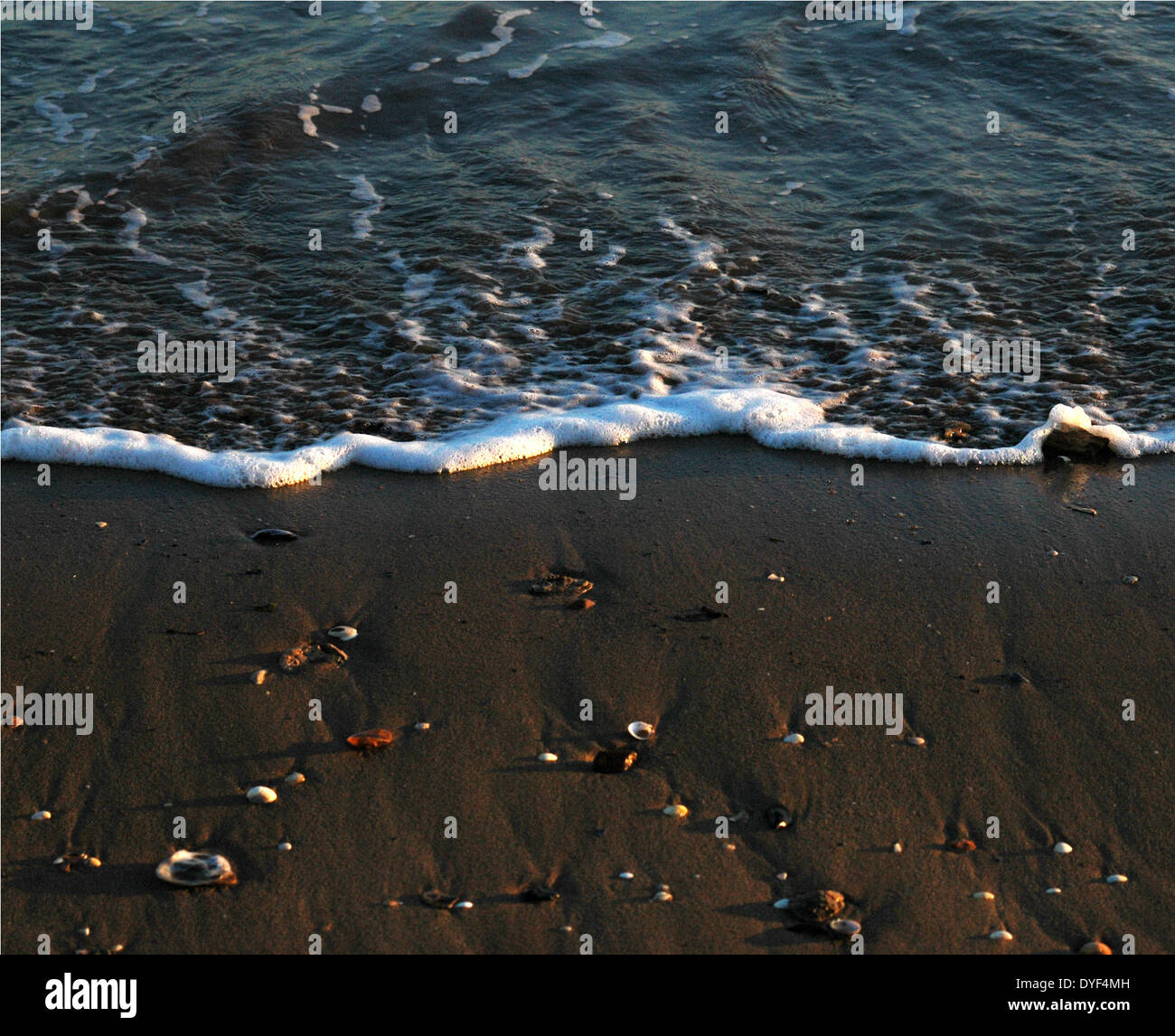 the shore line where the sea meets the sand Stock Photo - Alamy