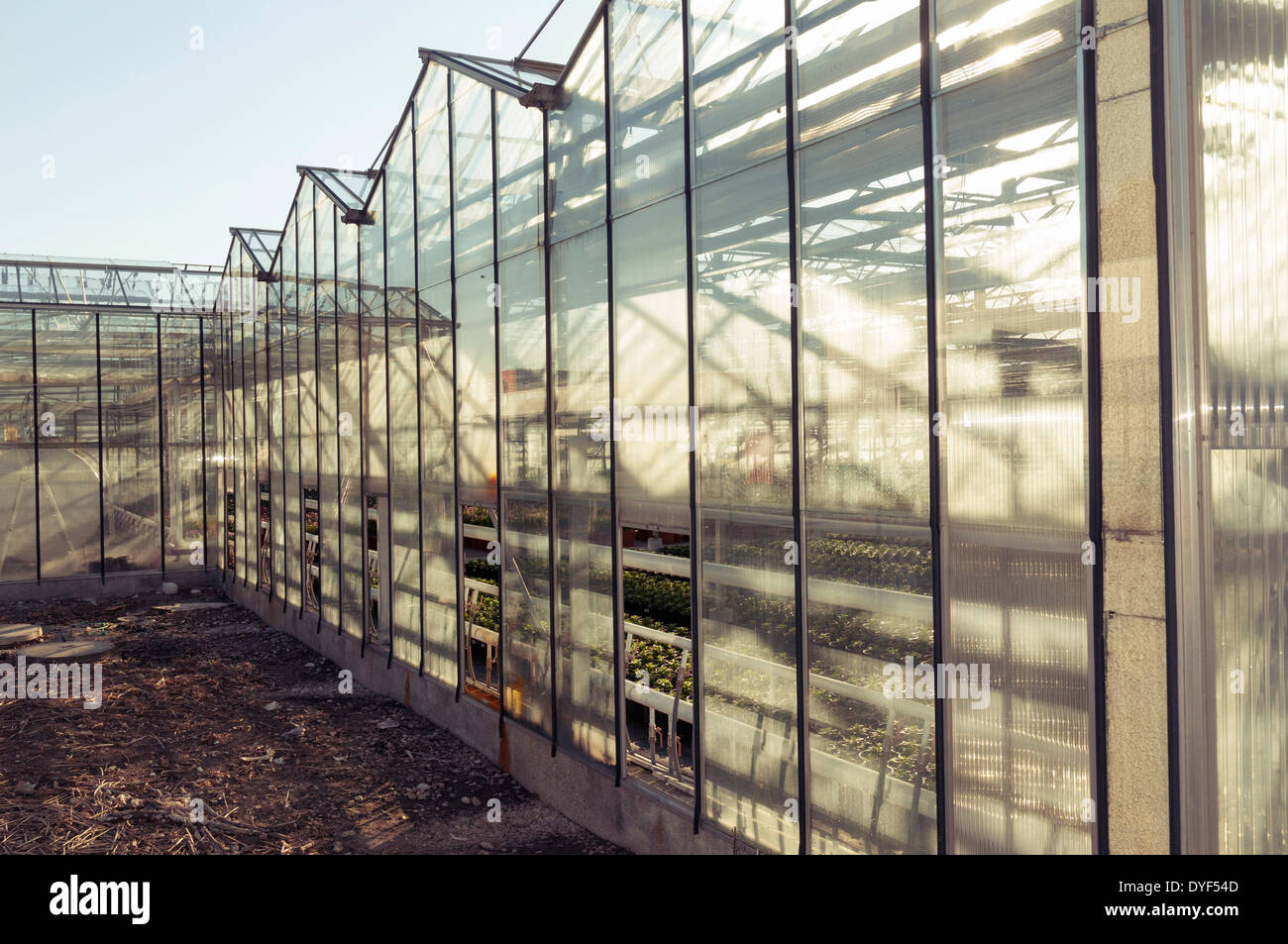 Big greenhouse hi-res stock photography and images - Alamy