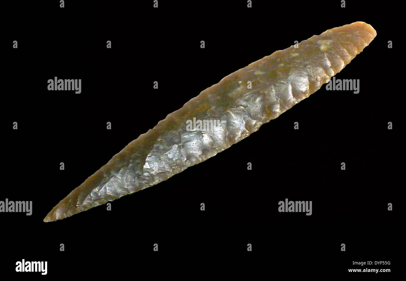 Elongated form hi-res stock photography and images - Alamy