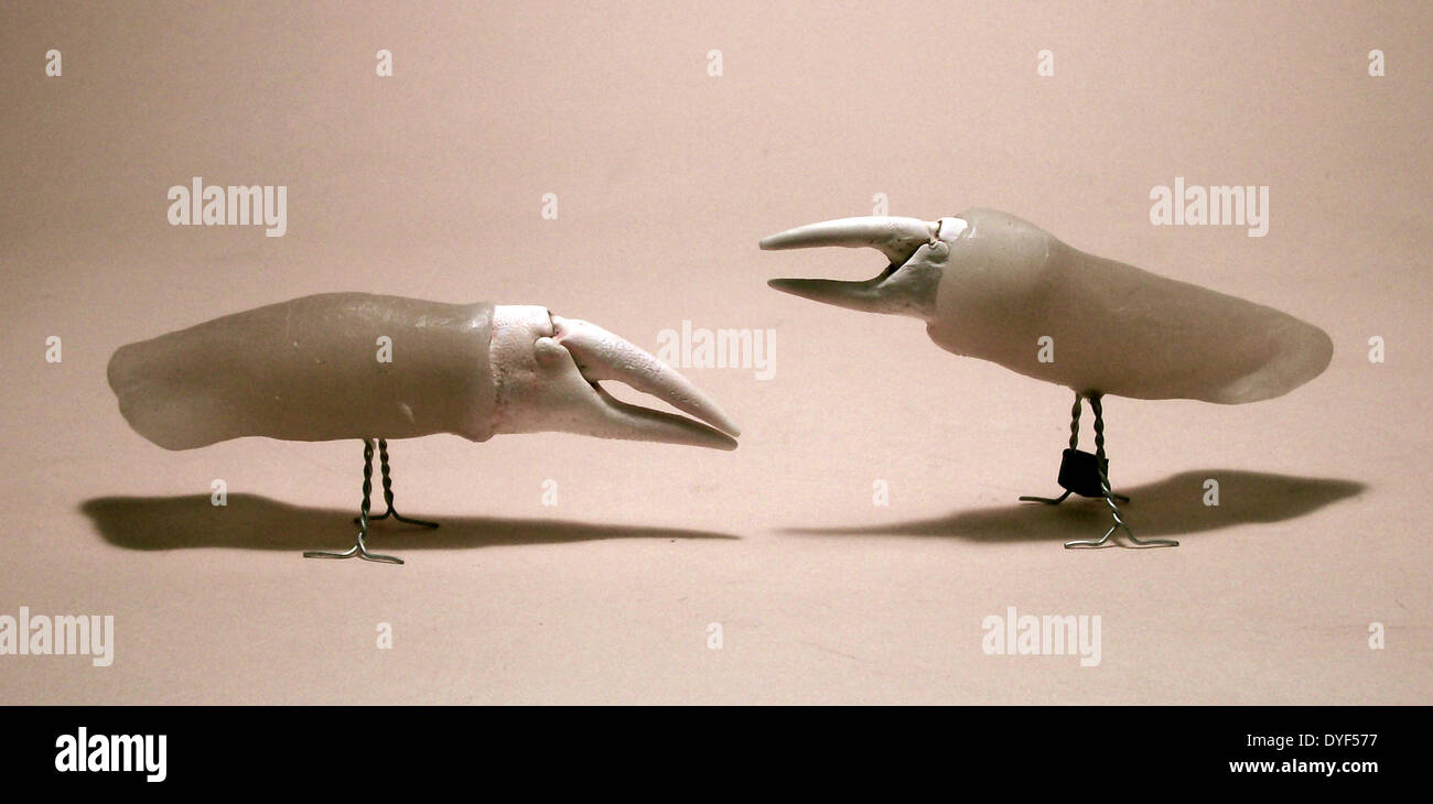 Crab-birds by Angela Cockayne, 2008. Chimera made from crab-claws, wax ...