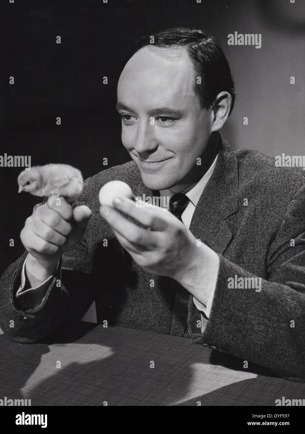 Morris chicken hi-res stock photography and images - Alamy