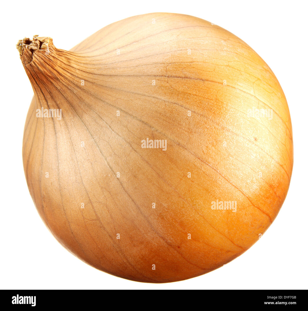 a white onion cut out on a white background Stock Photo - Alamy