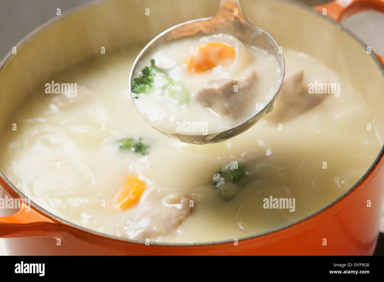 Japanese style white stew Stock Photo - Alamy