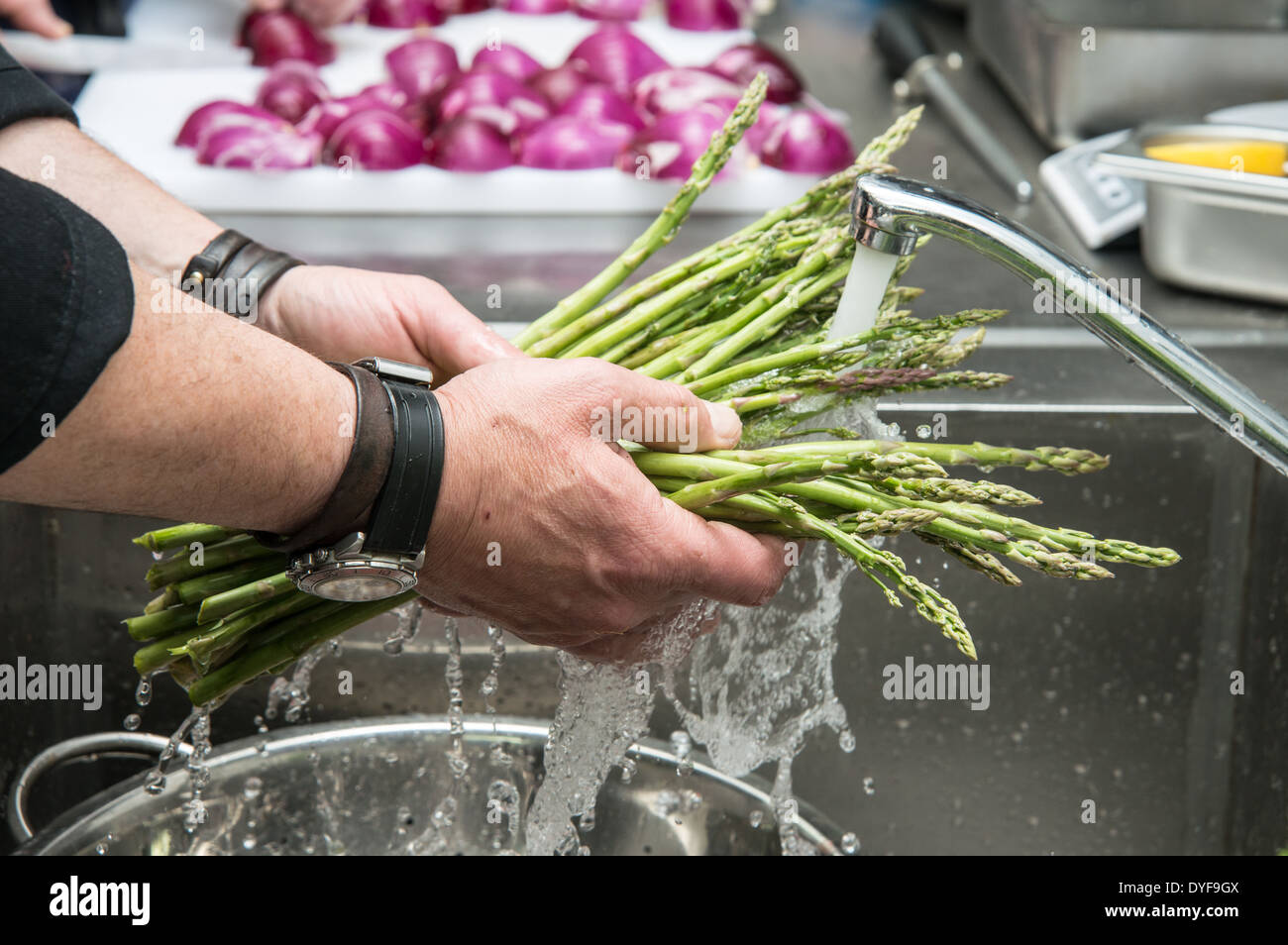 Chef prepares and washes asparagus in a restaurant Stock Photo - Alamy