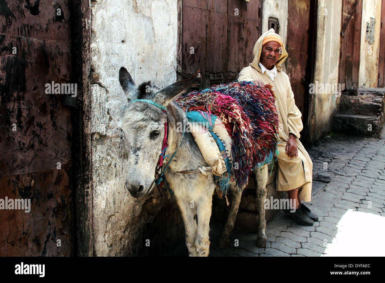 Fez, Moroccan man with donkey in the old Medina Stock Photo - Alamy