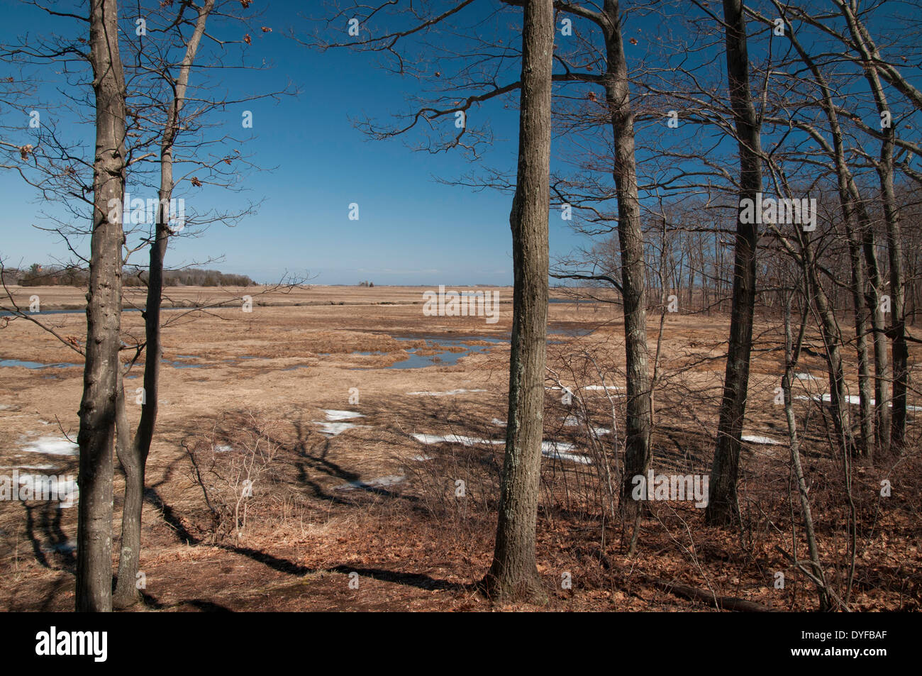 The Rough Meadows Wildlife Sanctuary, Rowley, Massachusetts is in The ...