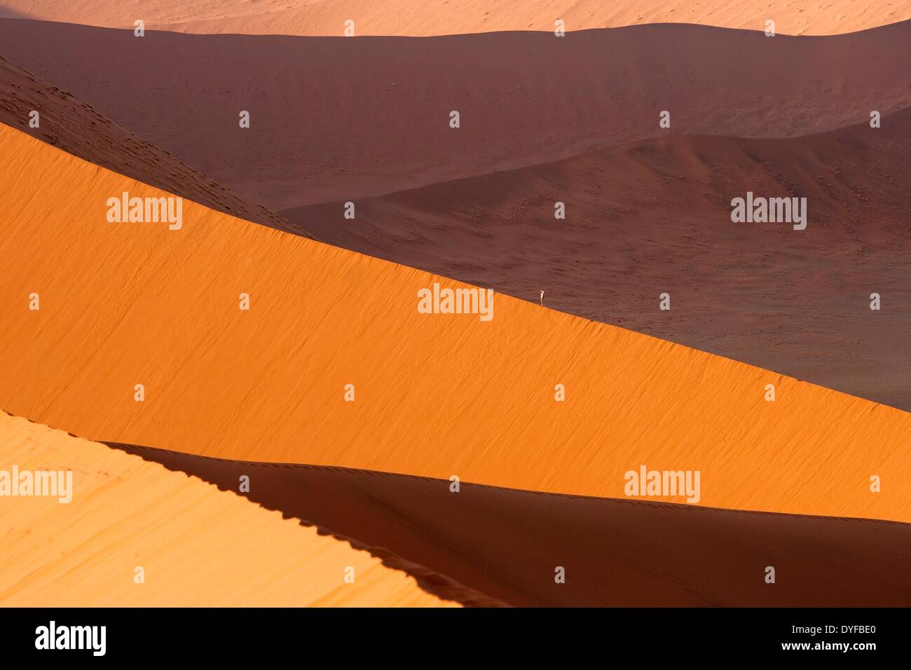Sand dunes in the Sossusvlei area of the Namib Desert in the Namib ...