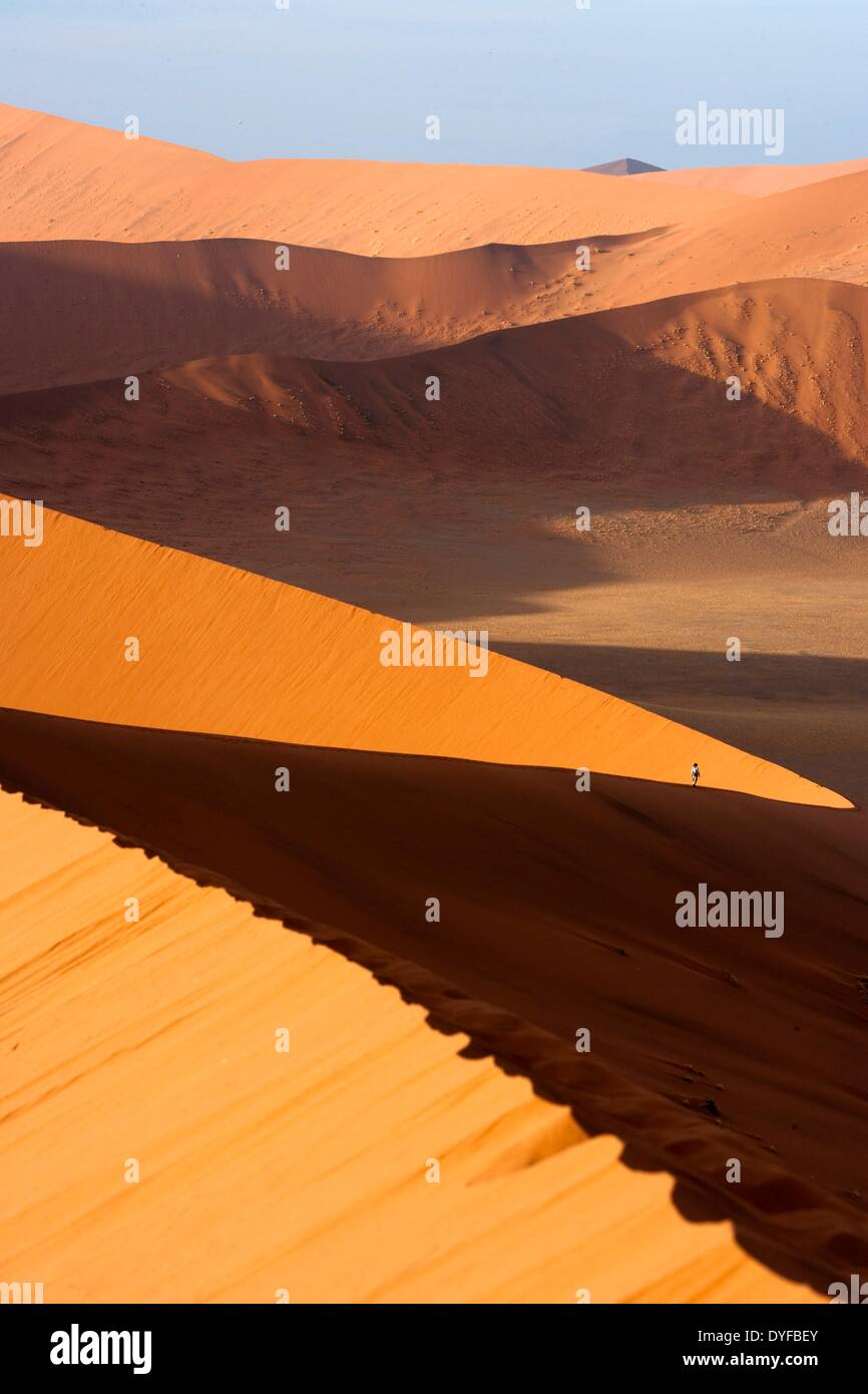 Sand dunes in the Sossusvlei area of the Namib Desert in the Namib ...