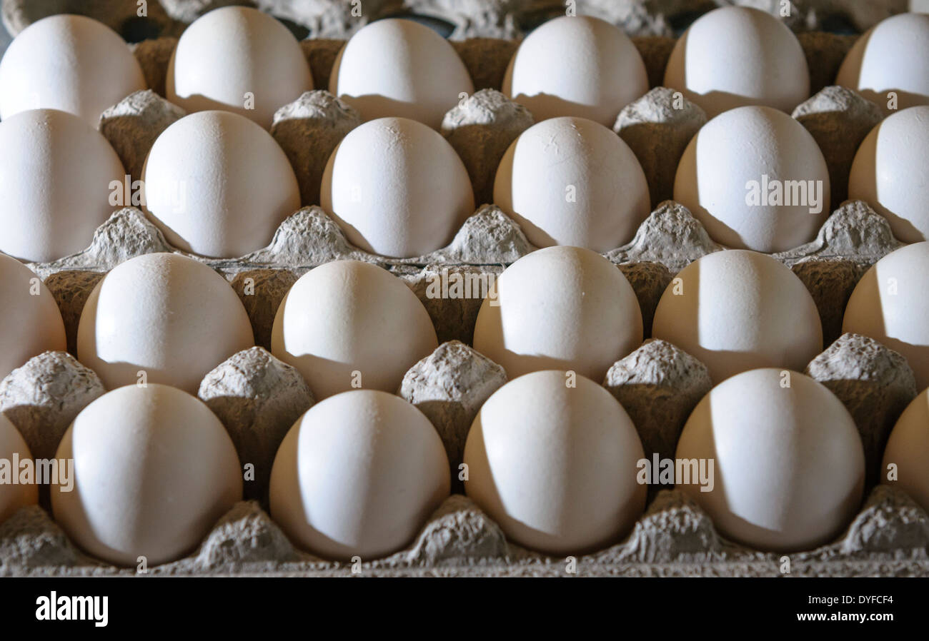 Packaged egg hi-res stock photography and images - Alamy