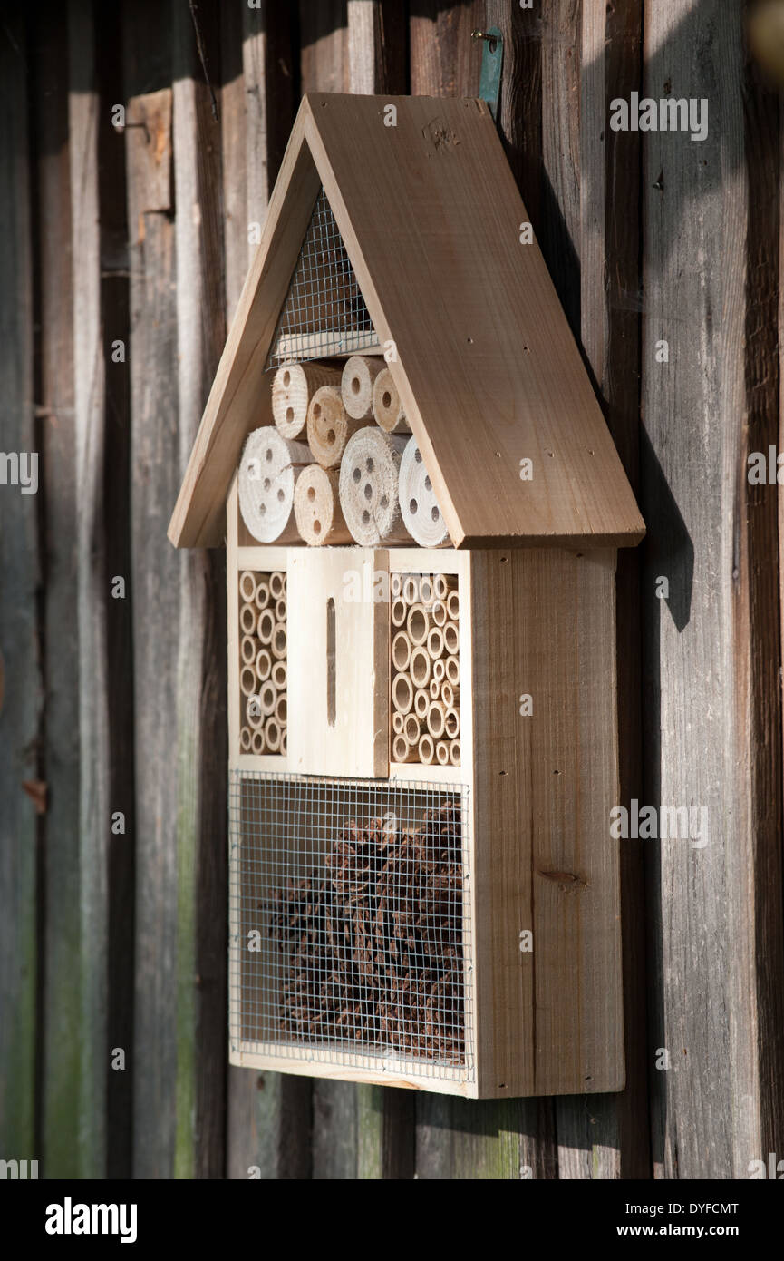 Insect hotel hi-res stock photography and images - Alamy