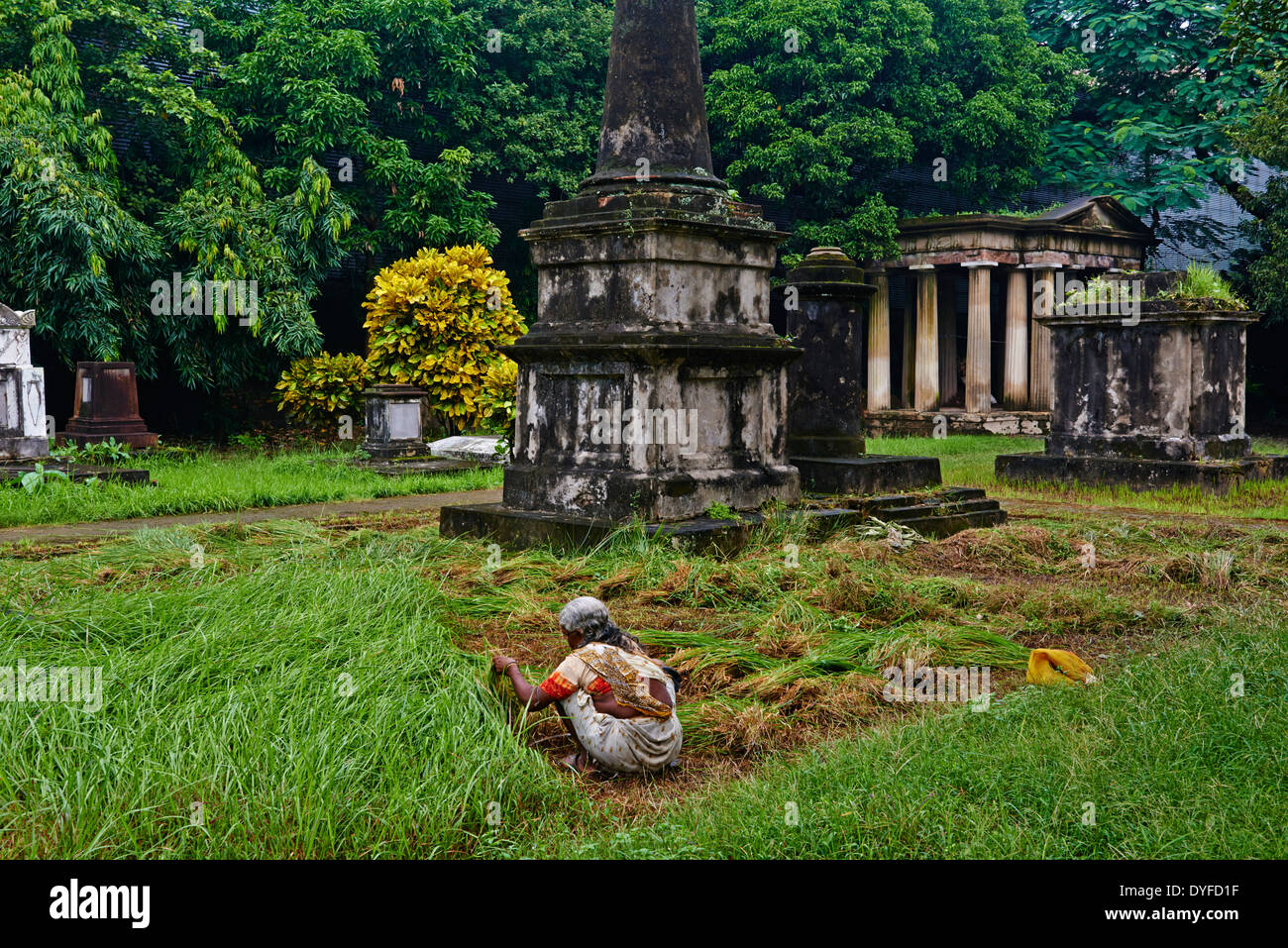 Tree cemetery hi-res stock photography and images - Alamy