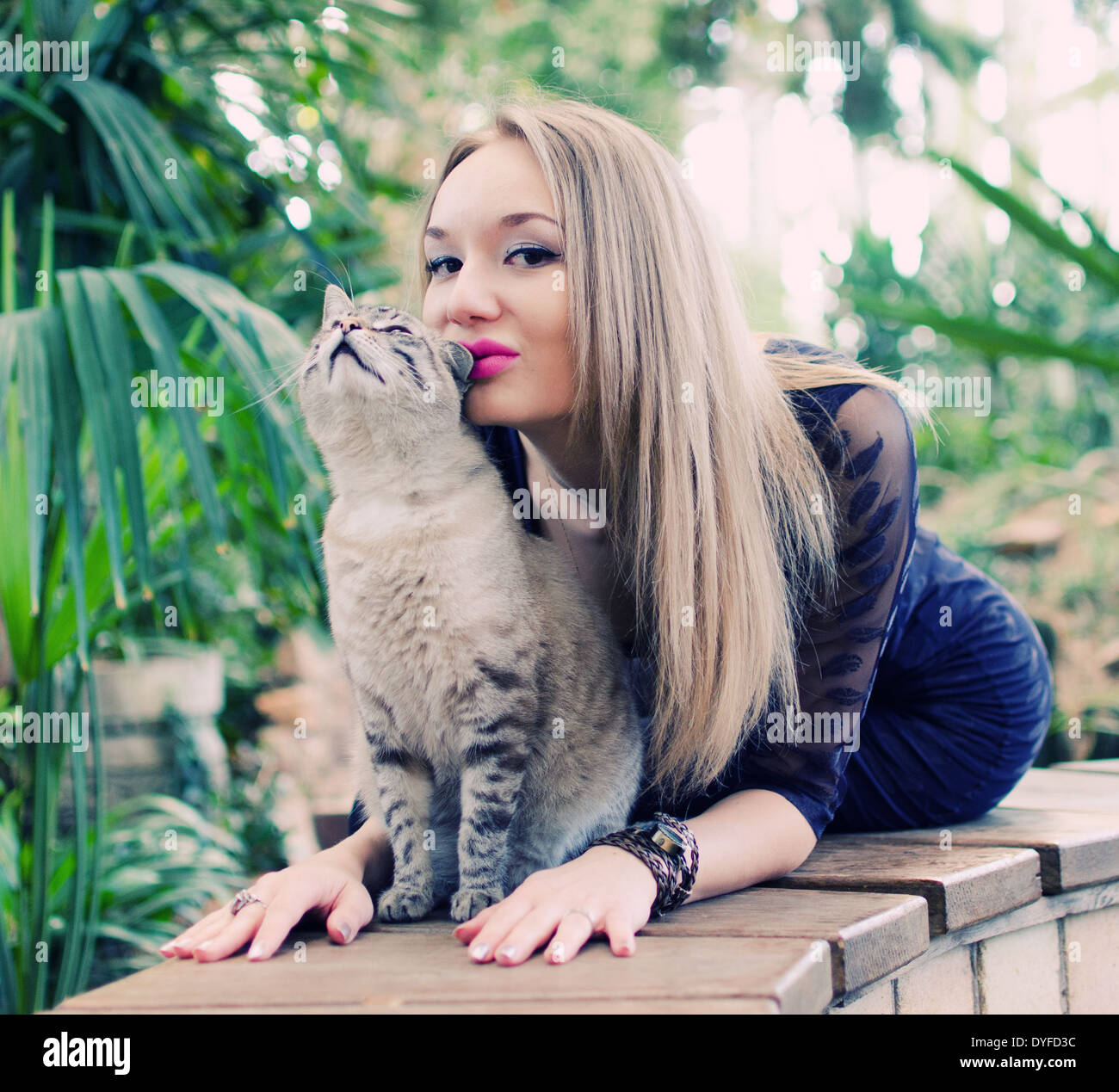 young beautiful woman playing with cat Stock Photo - Alamy
