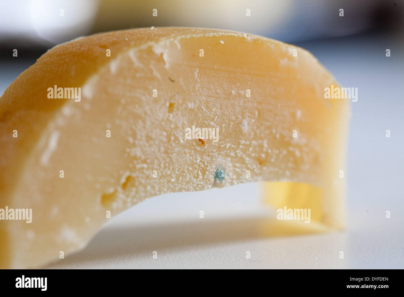 Blue spots on a slice of Gouda cheese indicate: not good for ...