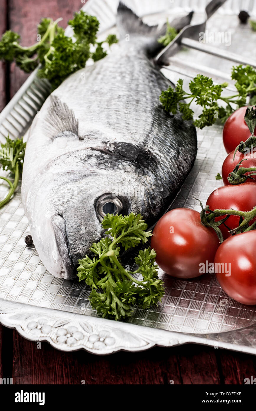mediterranean fish delicacy Dorado Stock Photo - Alamy