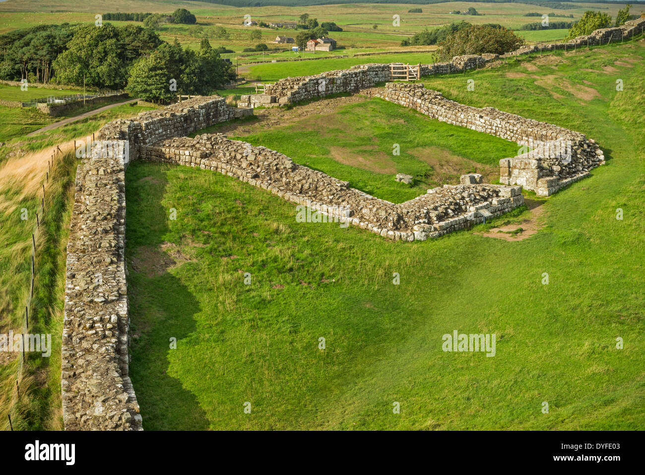 Milecastle 42 near Cawfields on Hadrian's Wall in the Northumberland ...