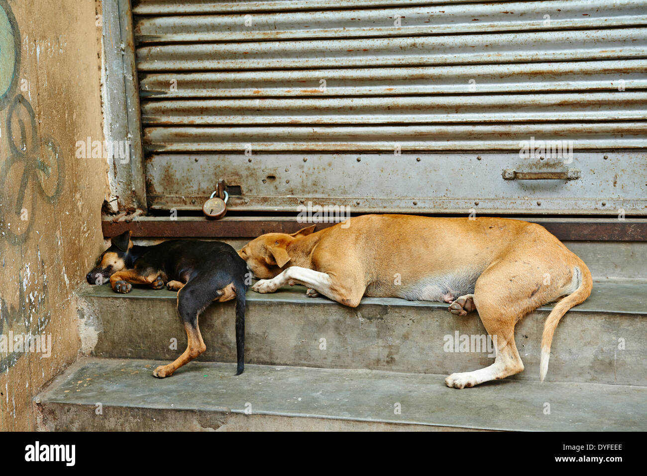 India, West Bengal, Kolkata, Calcutta, street life Stock Photo - Alamy