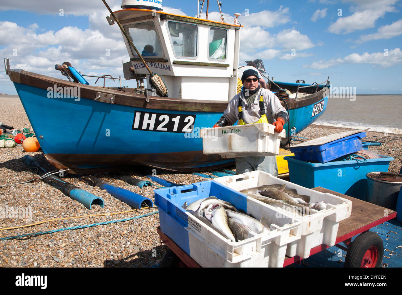 Cod Fish Sea Uk High Resolution Stock Photography and Images - Alamy
