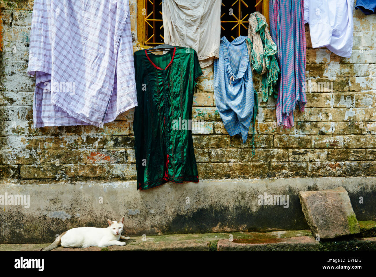 India, West Bengal, Kolkata, Calcutta, street life Stock Photo - Alamy
