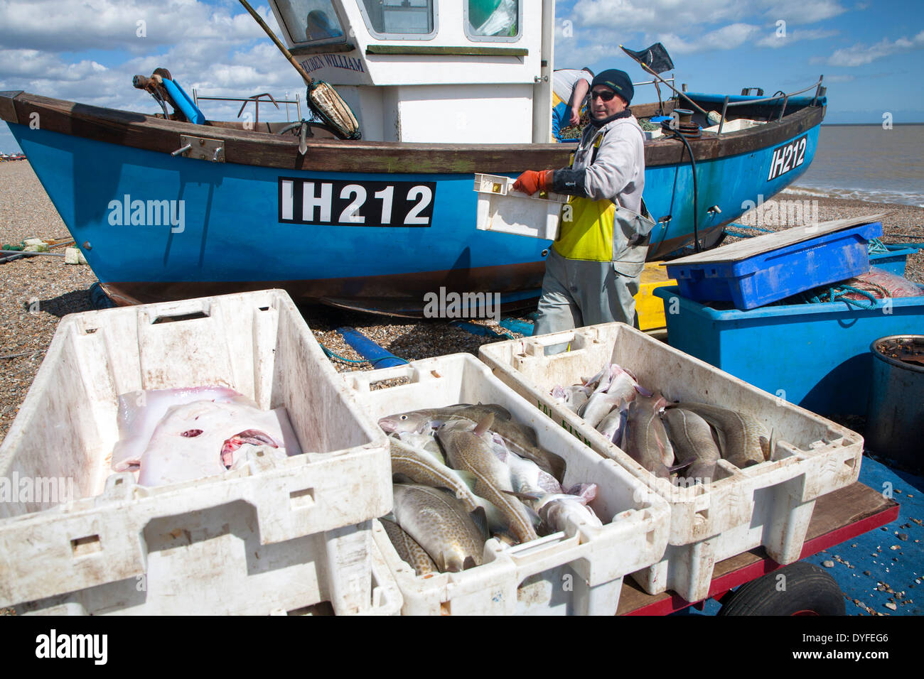 Small inshore fishing boat landing on the beach after six hours at sea ...
