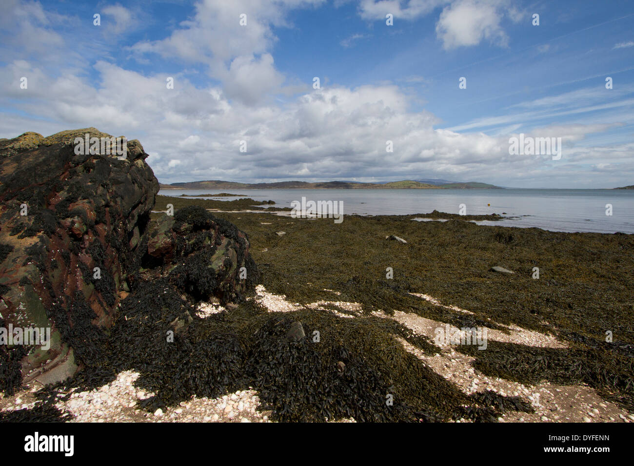 Auchencairn bay hi-res stock photography and images - Alamy
