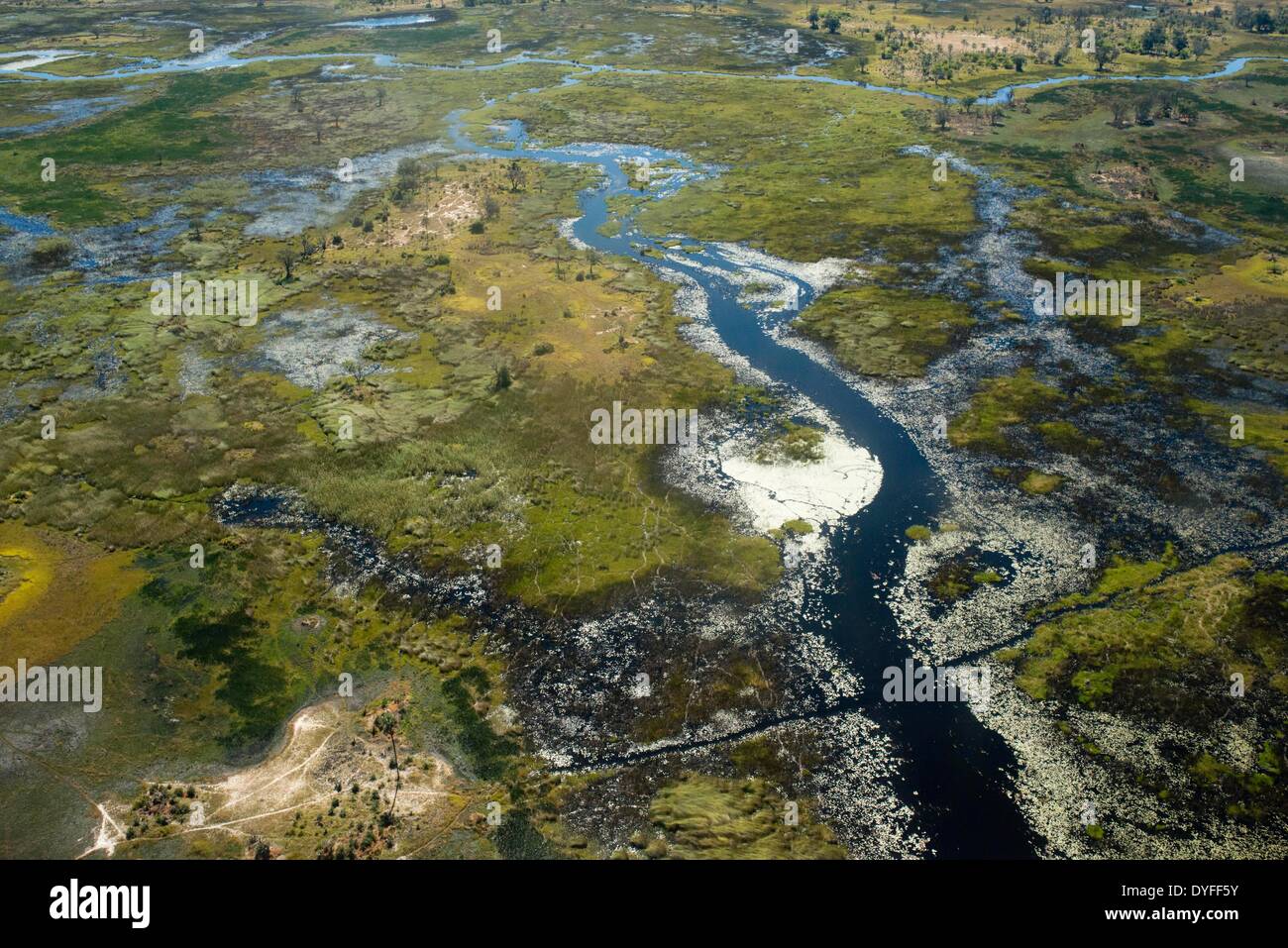 Nile River Delta Aerial High Resolution Stock Photography and Images ...