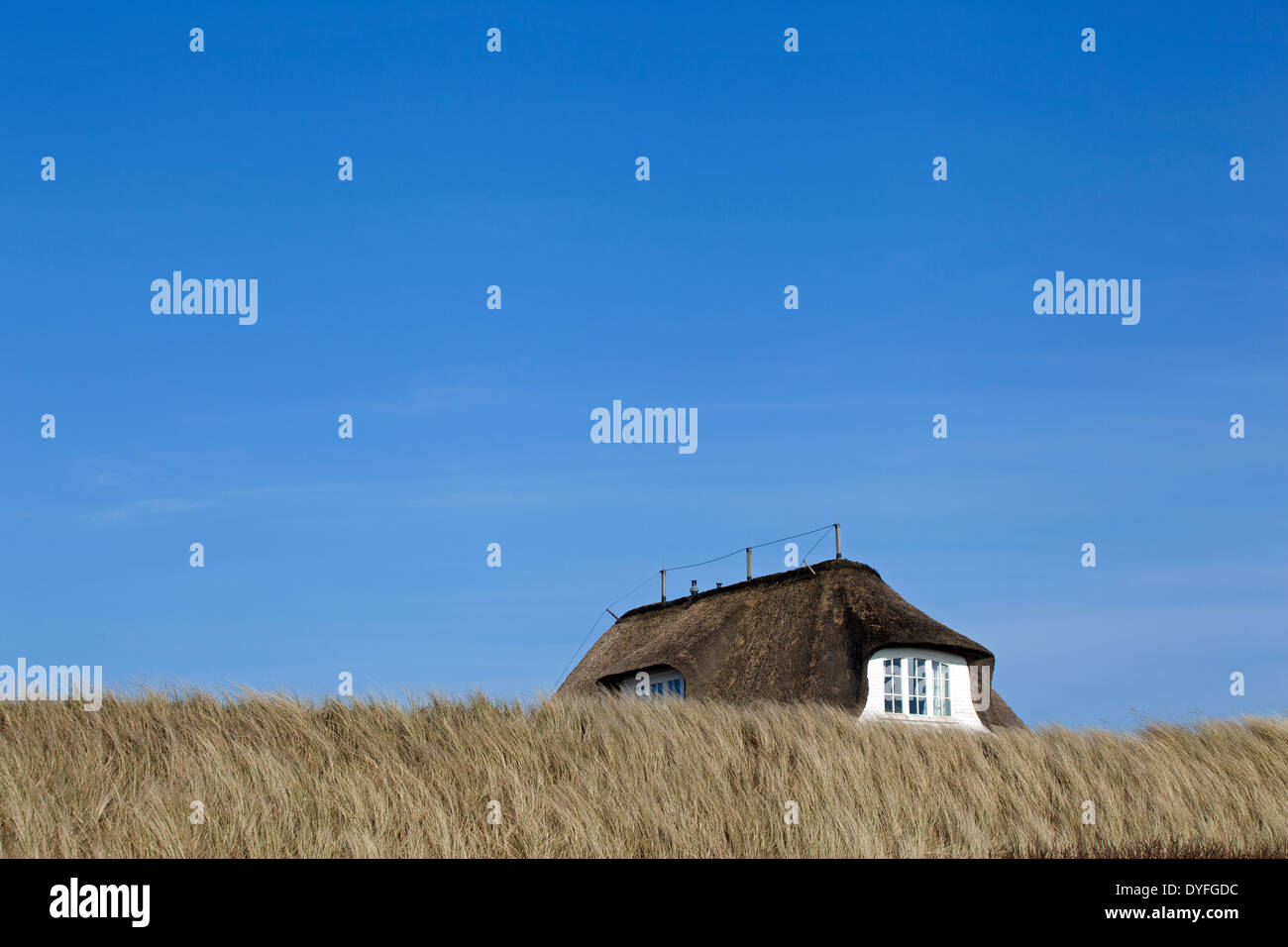Reetdachhaus sylt hi-res stock photography and images - Alamy