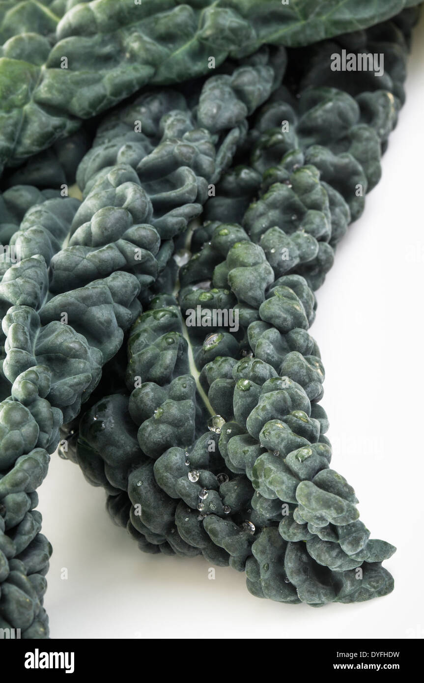 Cavolo nero hi-res stock photography and images - Alamy