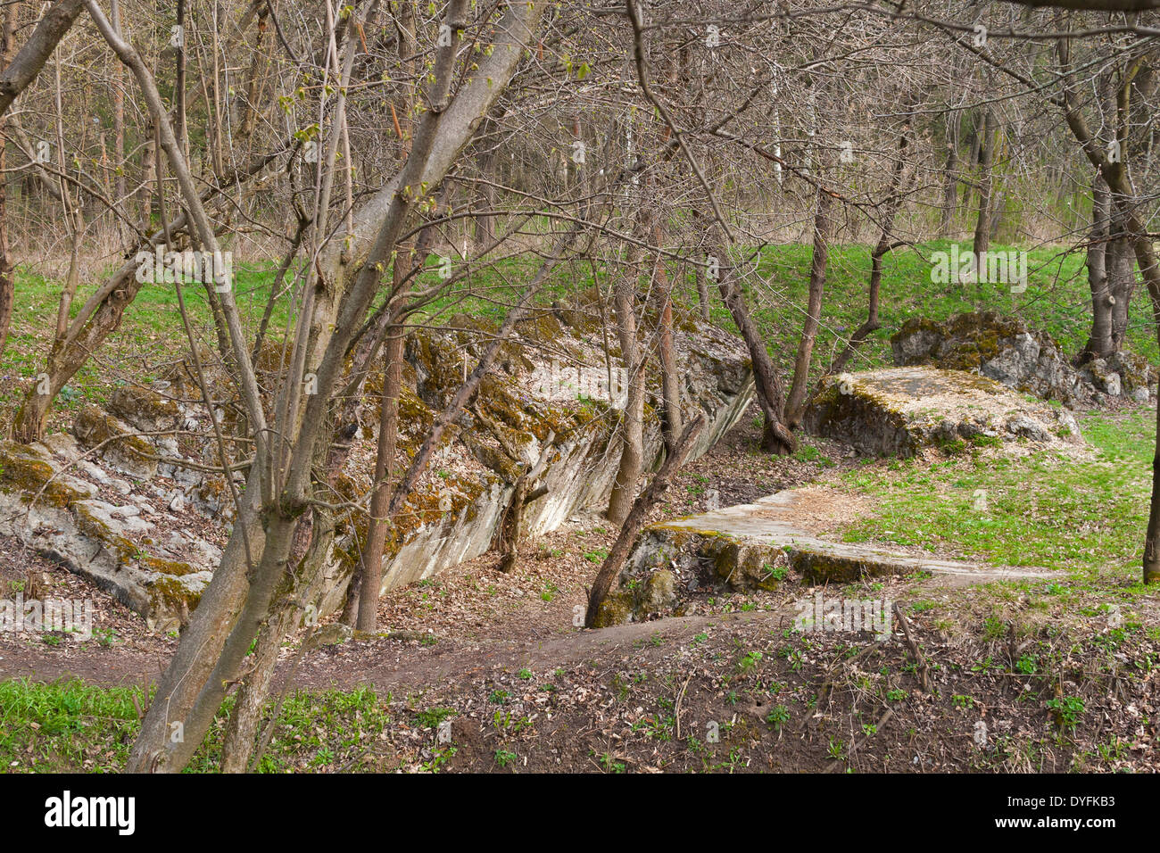 Concrete ruins of Adolf Hitler residence Werwolf near Vinnitsa, Ukraine ...