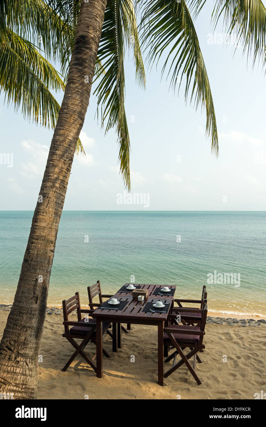 Chairs under a tree hi-res stock photography and images - Alamy
