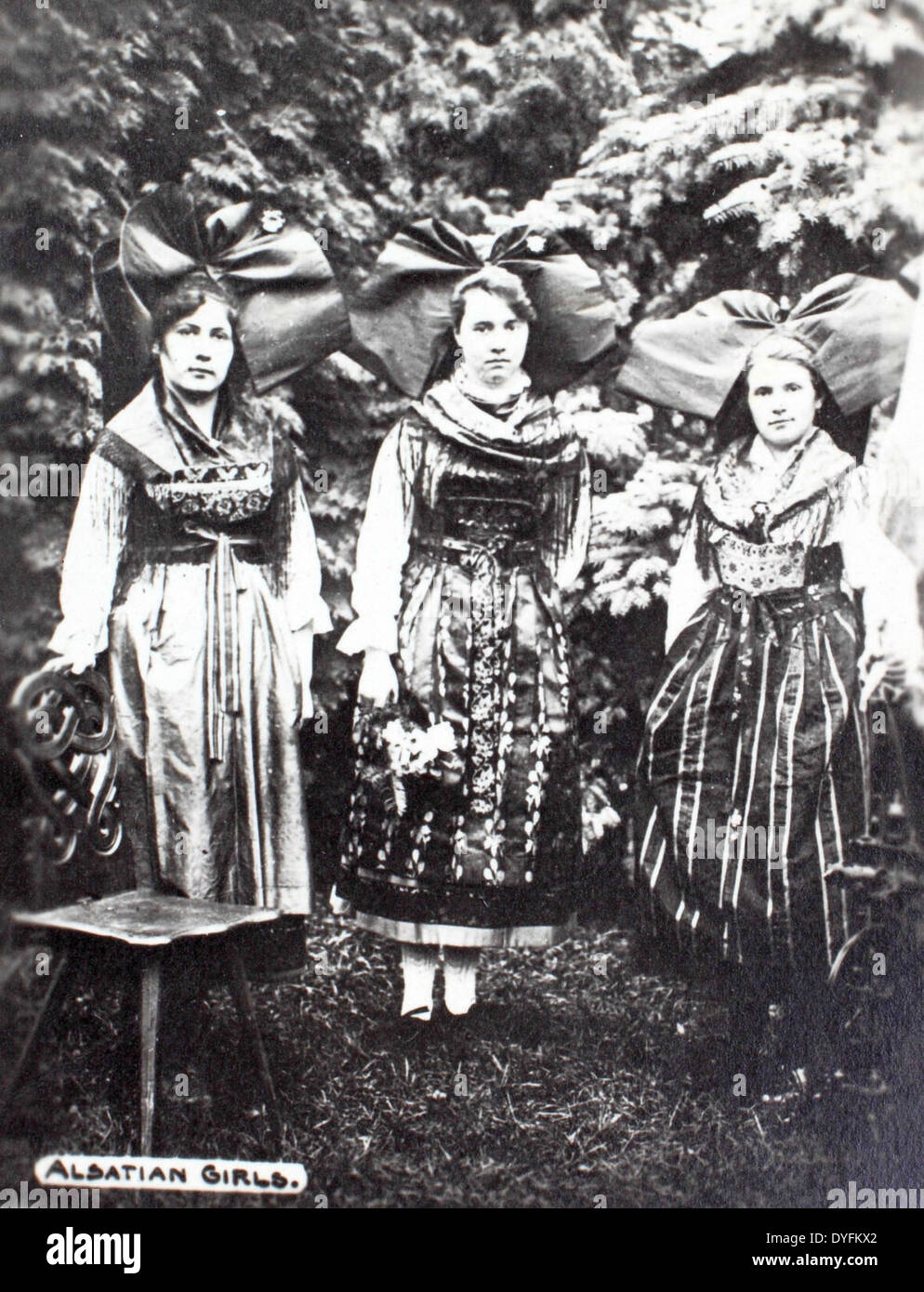 Alsatian history hi-res stock photography and images - Alamy