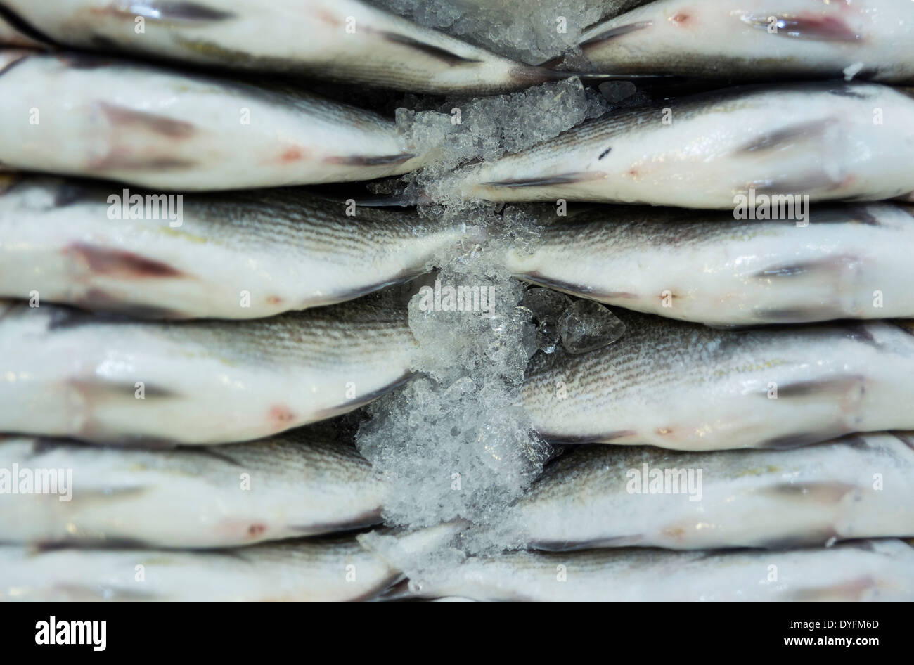London uk fresh fish hi-res stock photography and images - Alamy