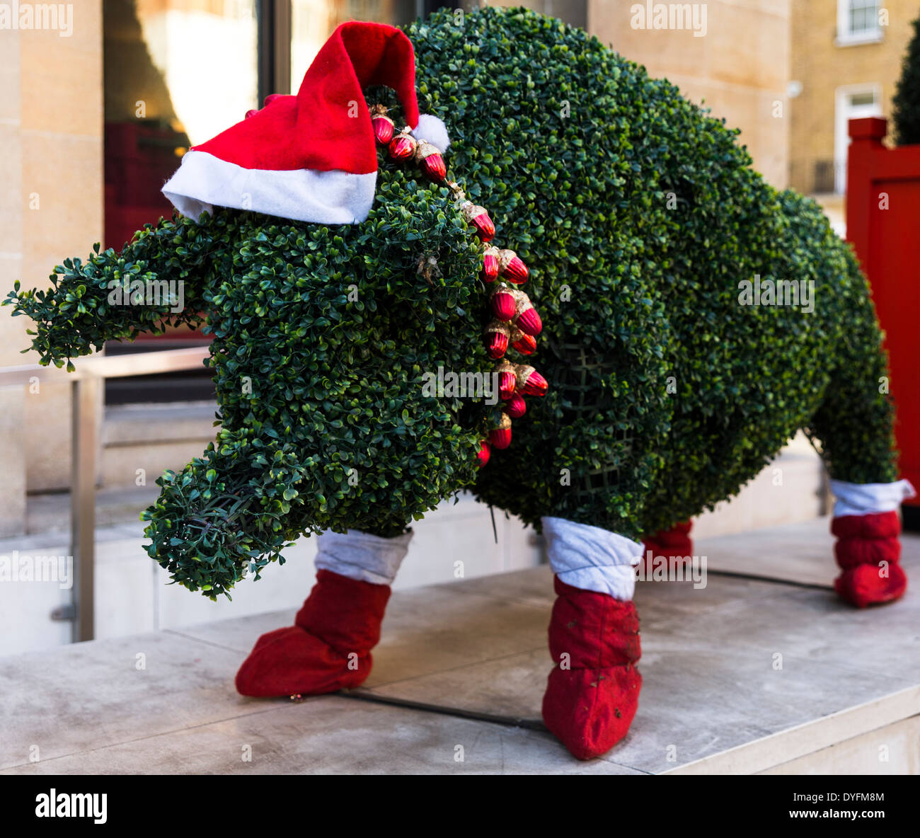Dressed as pig hi-res stock photography and images - Alamy