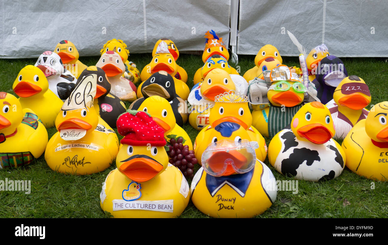 Decorated plastic ducks Stock Photo: 68572041 - Alamy