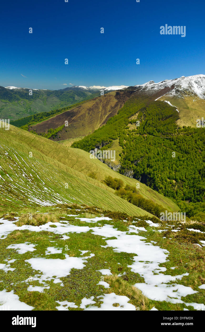 Green slopes of the spring Pyrenees Stock Photo - Alamy