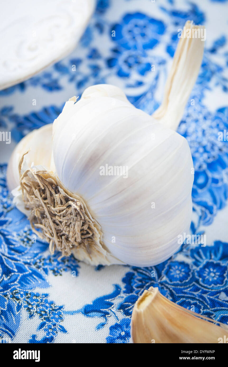 Garlic bulb garden hi-res stock photography and images - Alamy