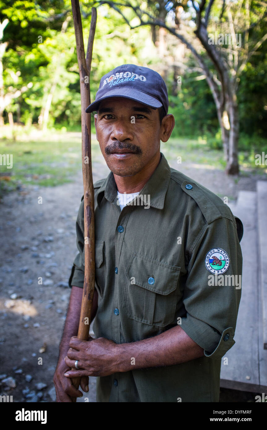 Komodo dragon guide hi-res stock photography and images - Alamy