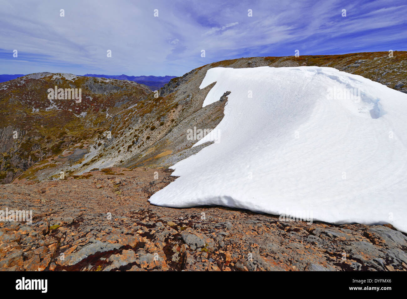Alpine Landscape of Southwest National Park, Tasmania, Australia Stock ...