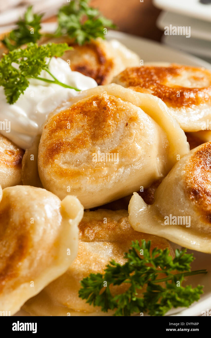 Poland pierogis hi-res stock photography and images - Alamy