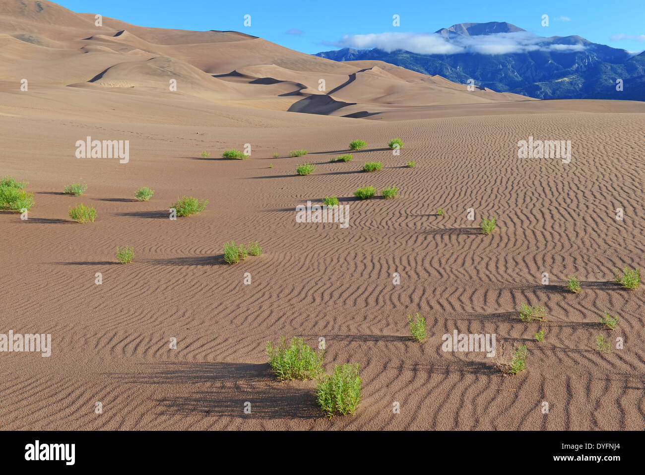 Great sand dunes colorado family hi-res stock photography and images ...