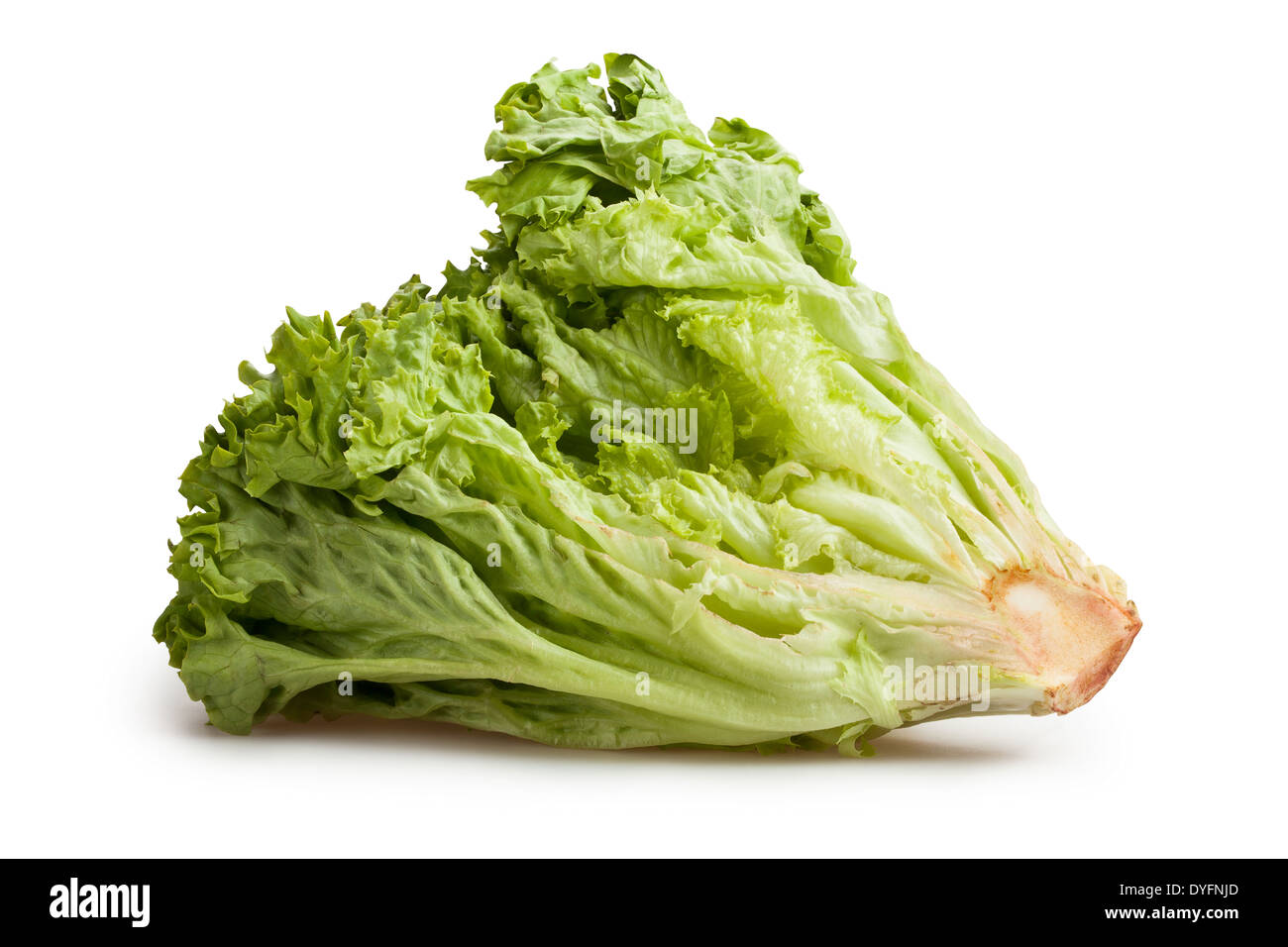 lollo bionda lettuce isolated Stock Photo - Alamy