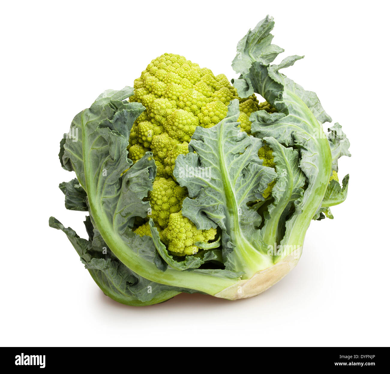 Roman cabbage hi-res stock photography and images - Alamy