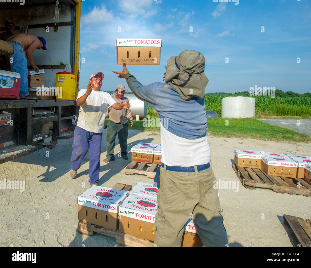 Hispanic farm workers hi-res stock photography and images - Alamy