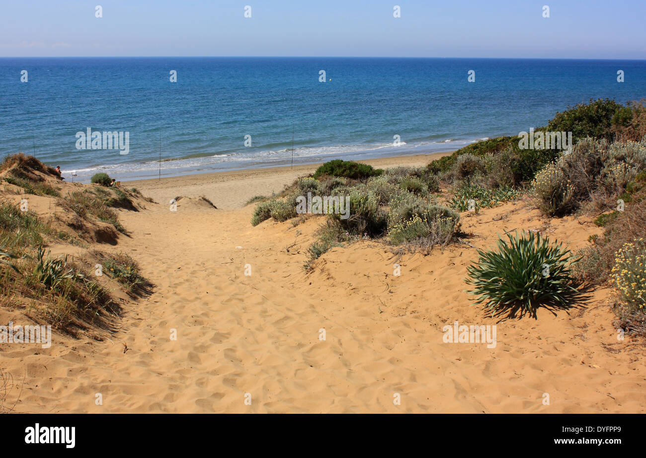 a view of the ocean through the sand dunes Stock Photo - Alamy