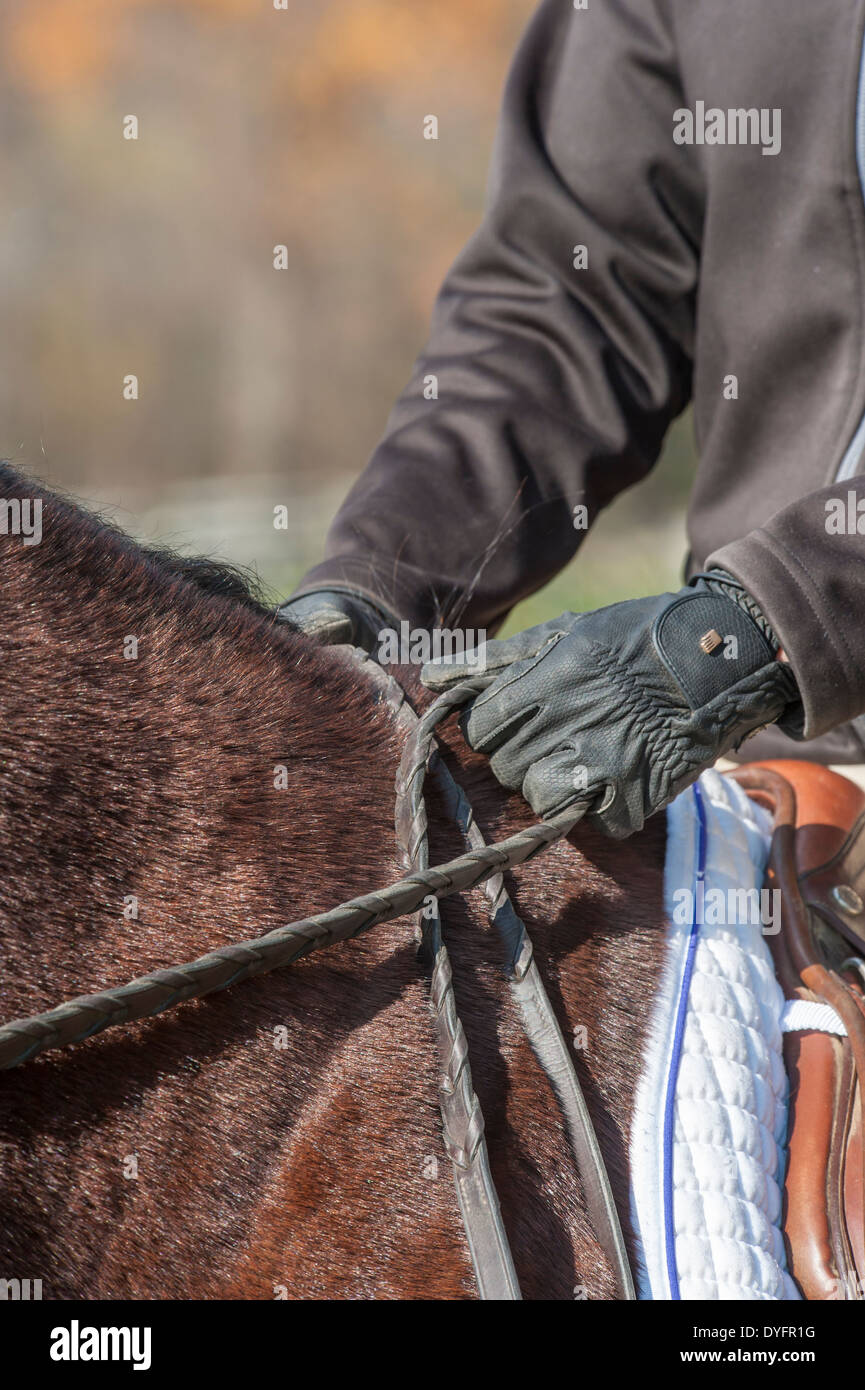 Rider hands hi-res stock photography and images - Alamy