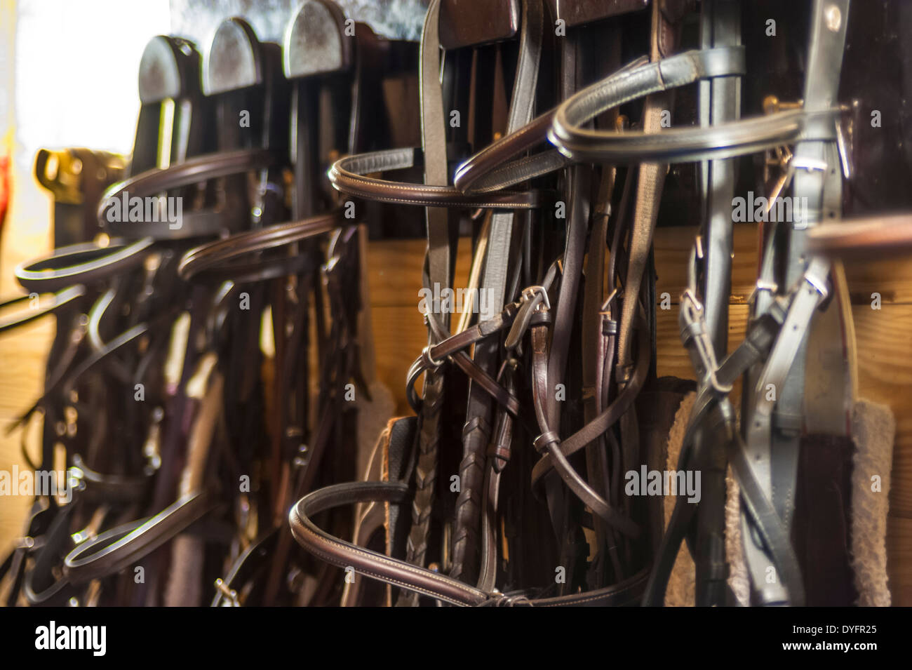 Rope hanging in barn hi-res stock photography and images - Alamy