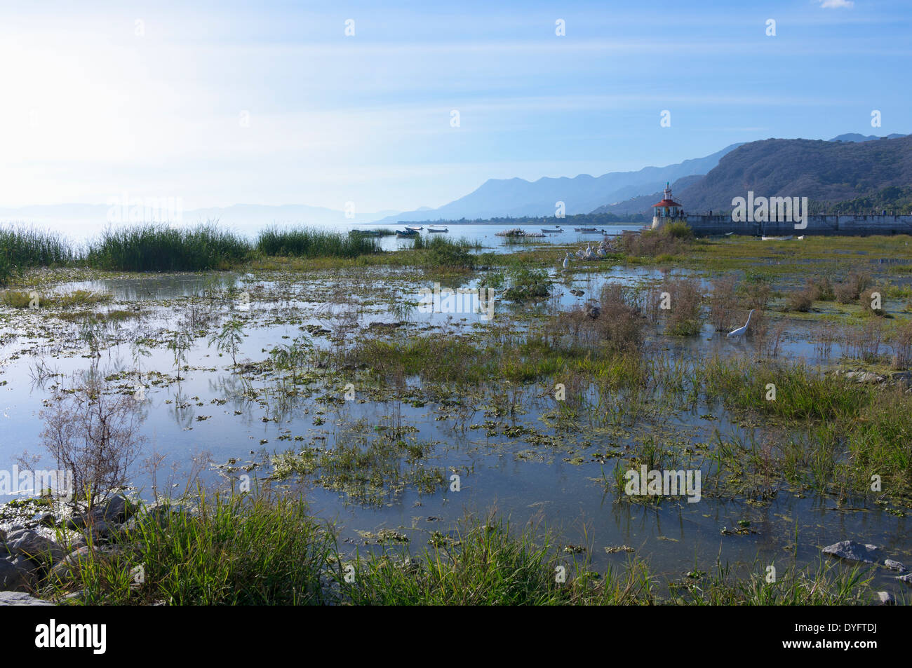 Lake Chapala inlet with boats birds pier and surrounding mountains in ...