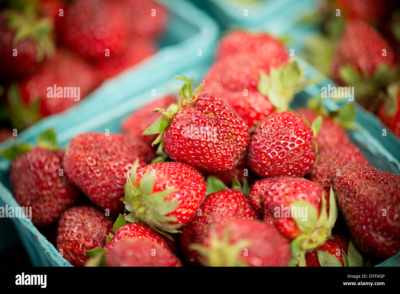 Strawberries - Clinton MD Stock Photo - Alamy